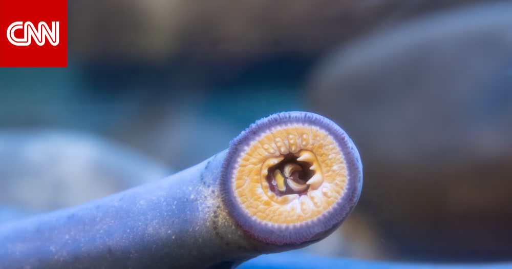 سمكة بـ3 عيون..ألق نظرة على هذا الكائن الغريب الذي سبق الديناصورات في أمريكا - CNN Arabic