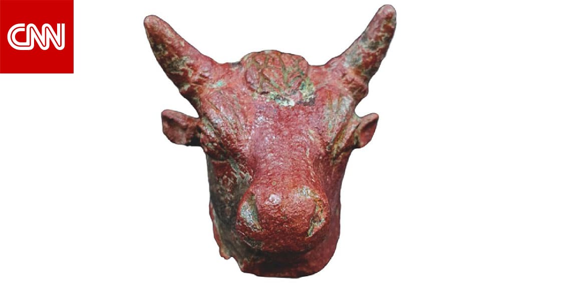 Saudi Arabia.. The discovery of an ancient bull head statue.. What does ...