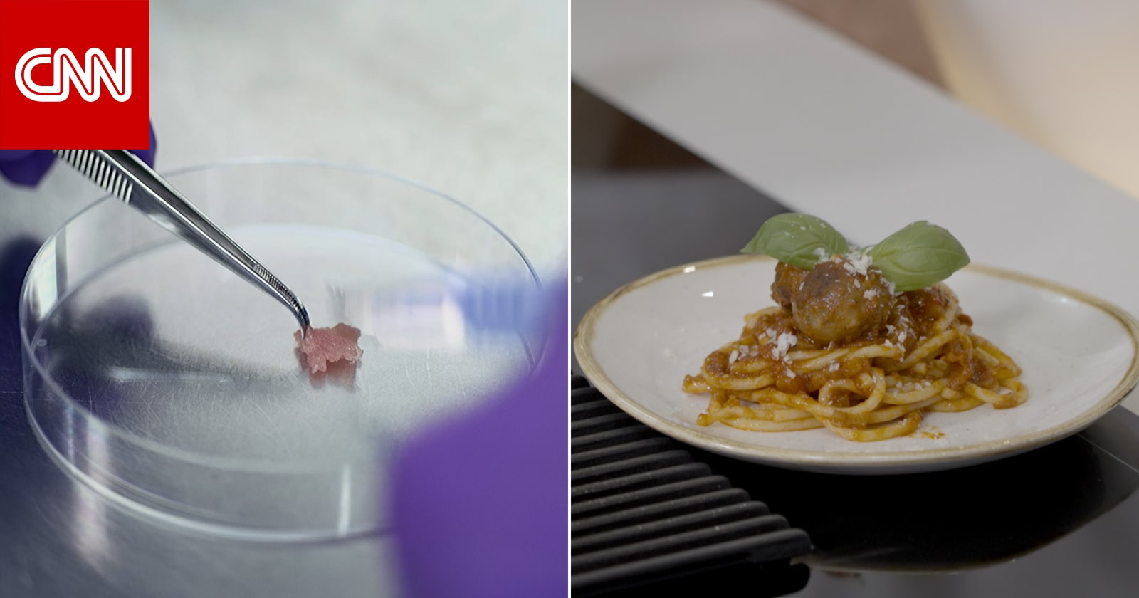 " نزرع أعضاء الحيوان التي نرغب بتناولها".. شاهد كيف تصنّع اللحوم في المختبر - CNN Arabic