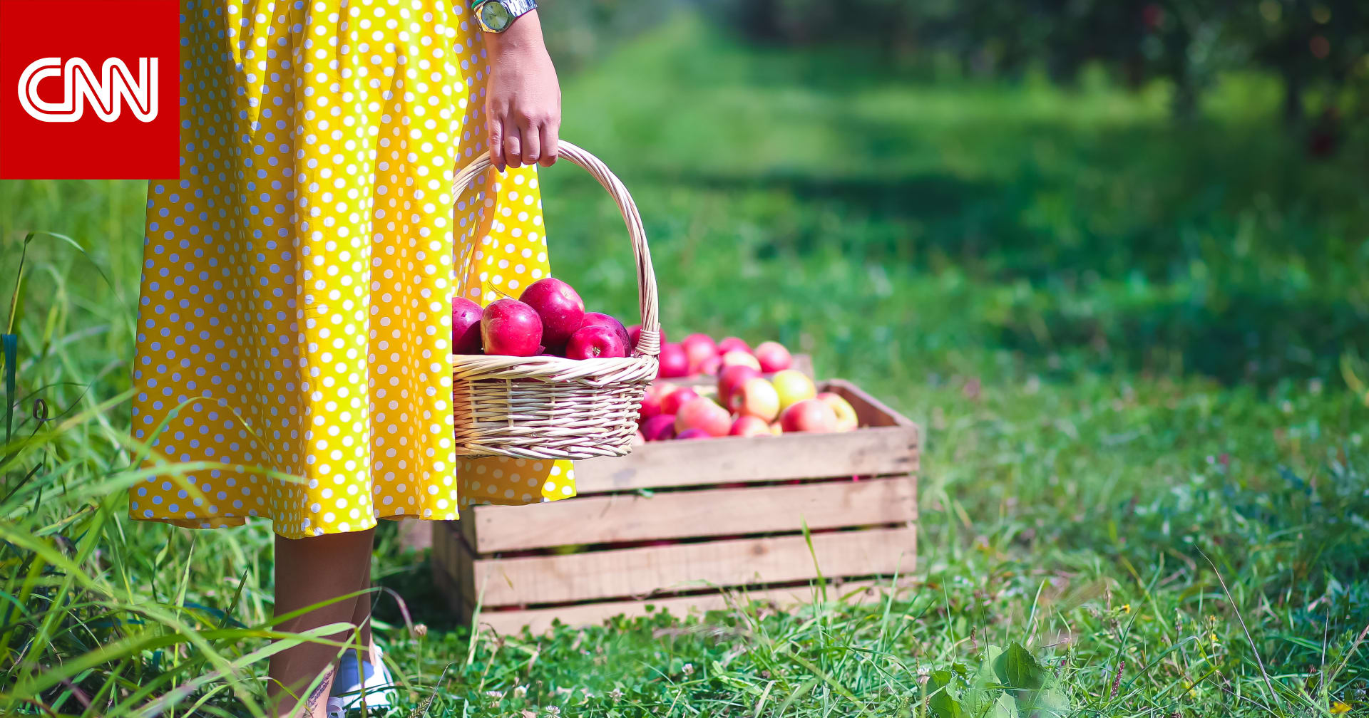 خدود حمراء لسكان هذه المدينة الأذربيجانية.. فما السر؟ - CNN Arabic