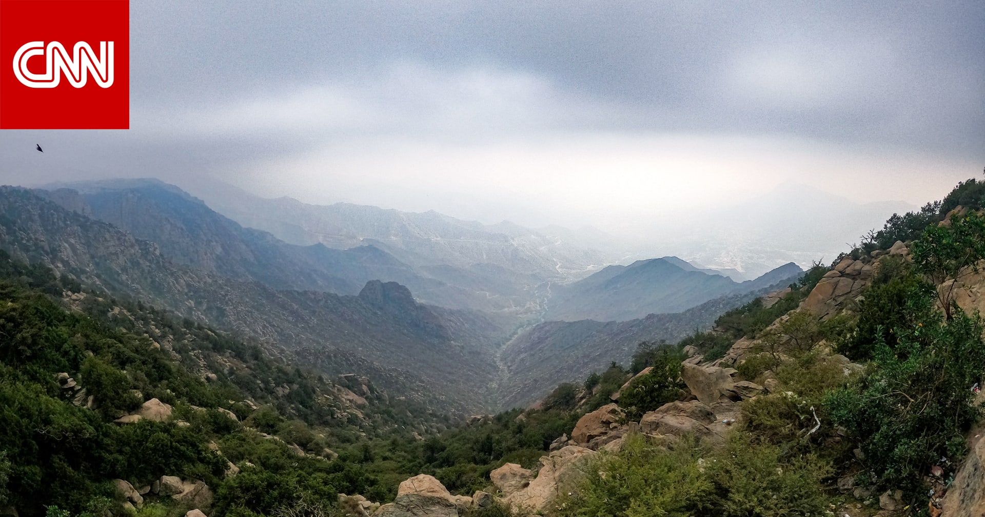 Heroic Saudi Girl Sacrifices Her Life to Save Her Brothers: The ...