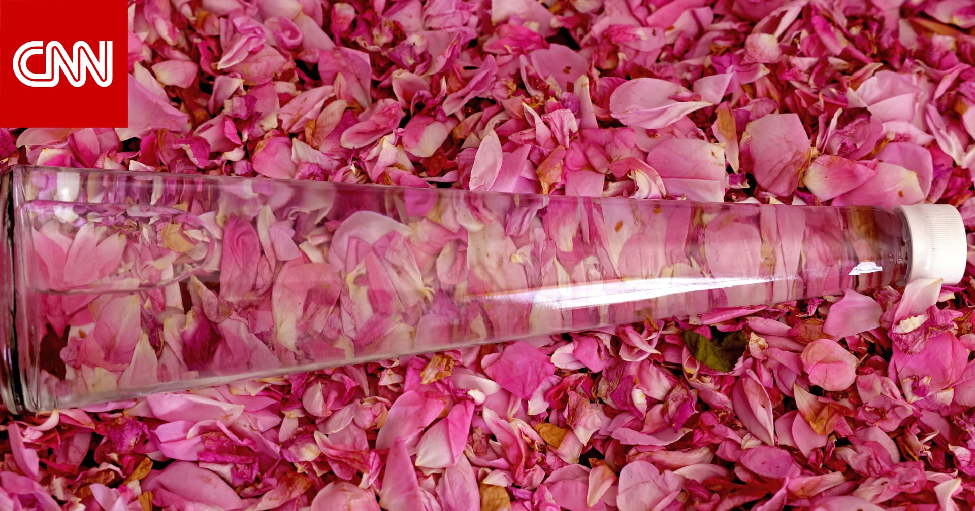 هذا هو الاختلاف الأساسي بين ماء الورد وماء الزهر - CNN Arabic