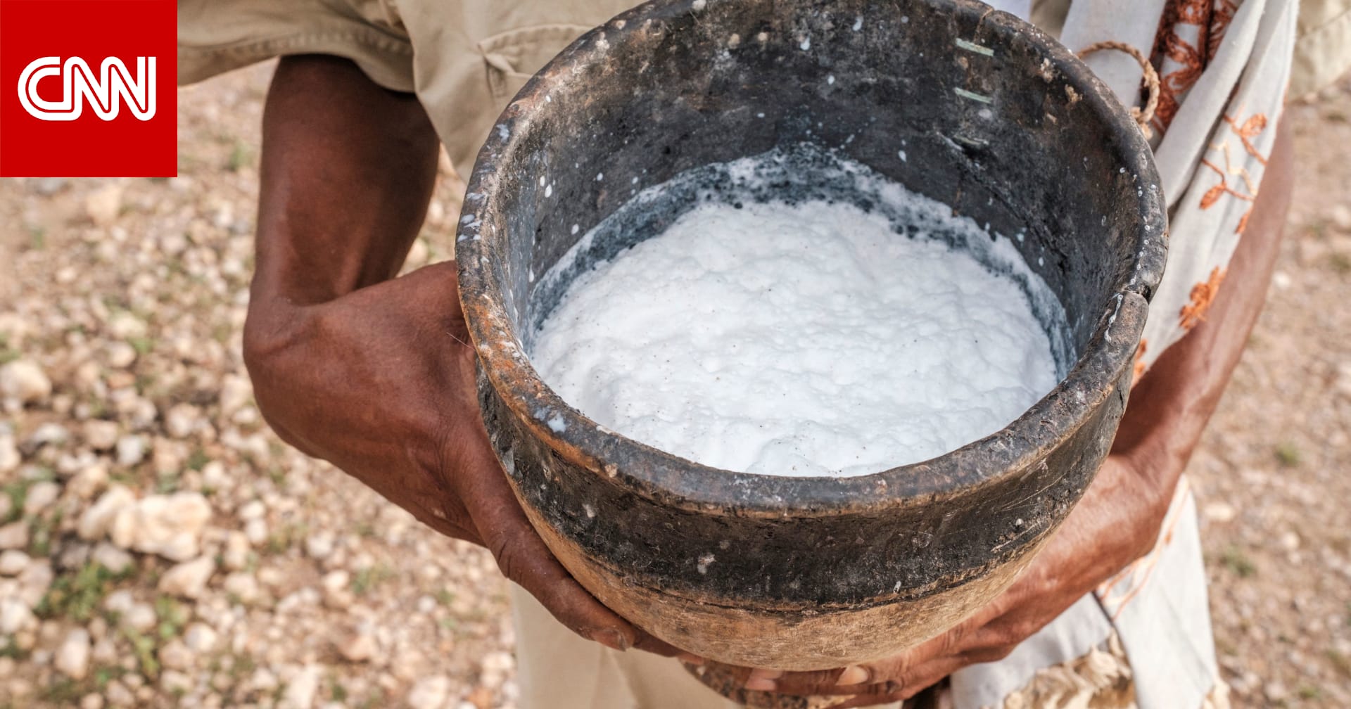 يحتوي على دهون أقل من حليب البقر.. ما أبرز فوائد استهلاك حليب الإبل ...