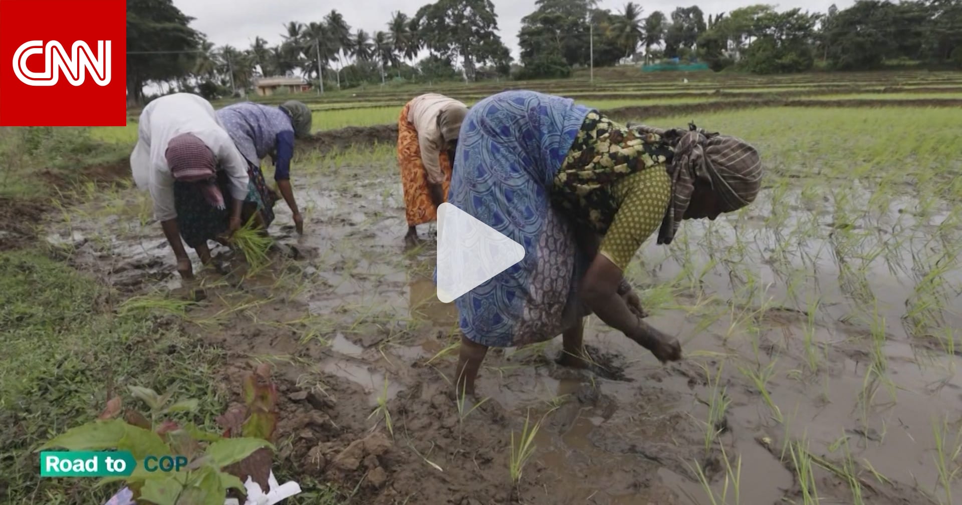 من أجل مؤتمر مناخ أكثر شمولًا.. كيف يتم إدماج أصوات صغار المزارعين في مؤتمر "كوب 28"؟ - CNN Arabic