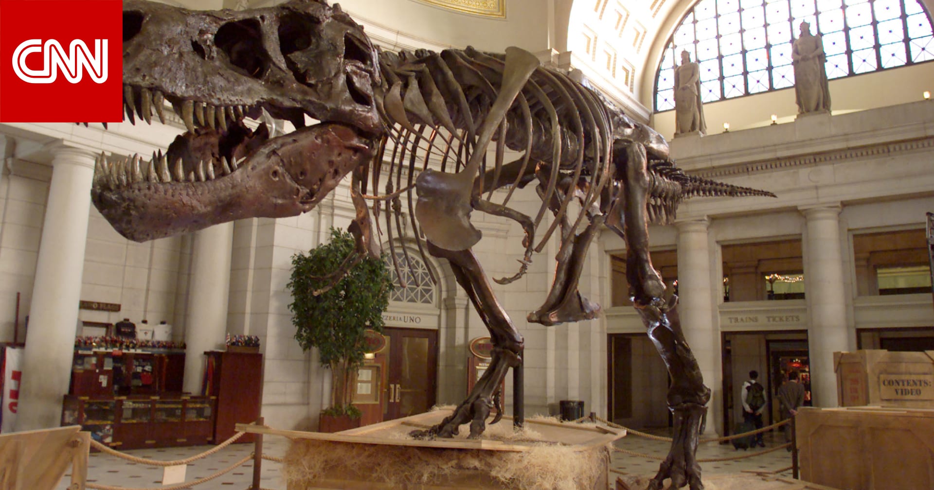 لماذا انقرضت الديناصورات وهل السبب يهدد البشرية؟ - CNN Arabic